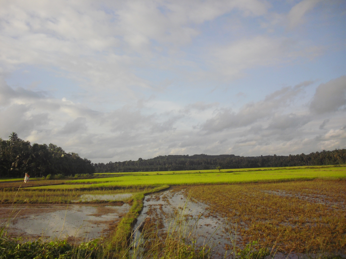 എയ്യാല്‍: Ona Kaalam