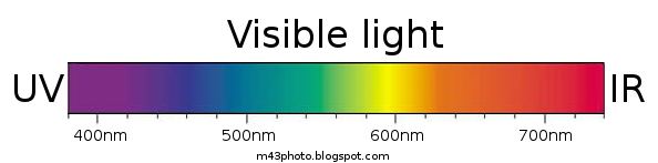 Micro 4/3rds Photography: IR filters