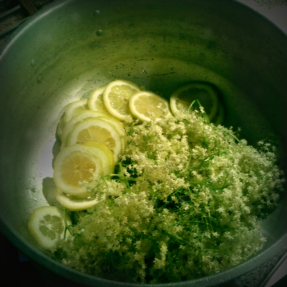 What The Bork?!: A Recipe For Liquid Gold