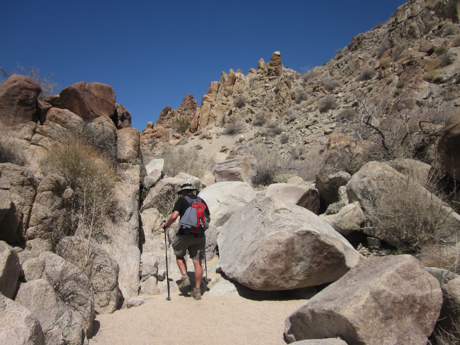 Smoky Scout's Hiking Adventures: Joshua Tree NP - Carey's Castle and ...