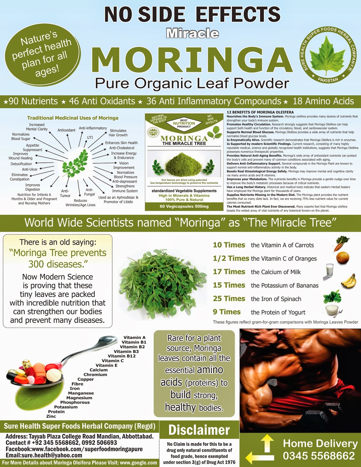Moringa Pakistan: Moringa The Miracle Tree
