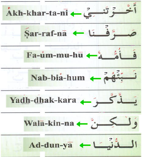 Learn Tajweed and Quraan Free: Example Of Step 8 Tashdeed