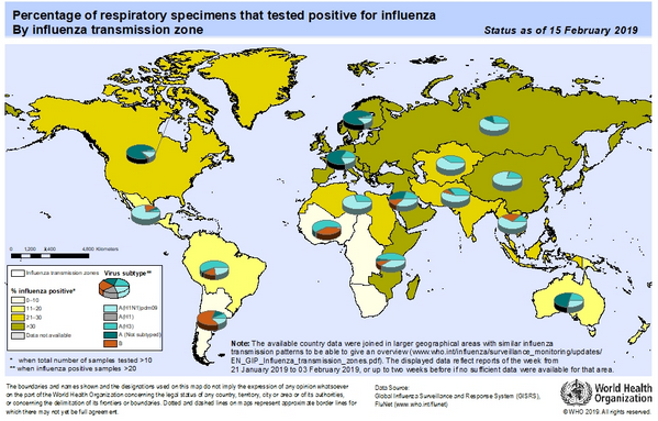 Avian Flu Diary: WHO: (Partial) Recommended Composition Of 2019-2020 ...