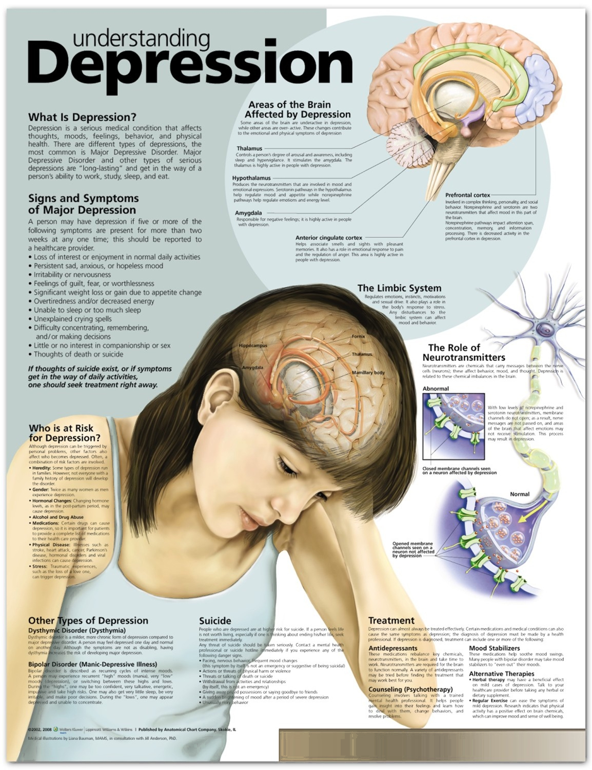 Hypothalamus and Depression - Society's disease The Human Basic