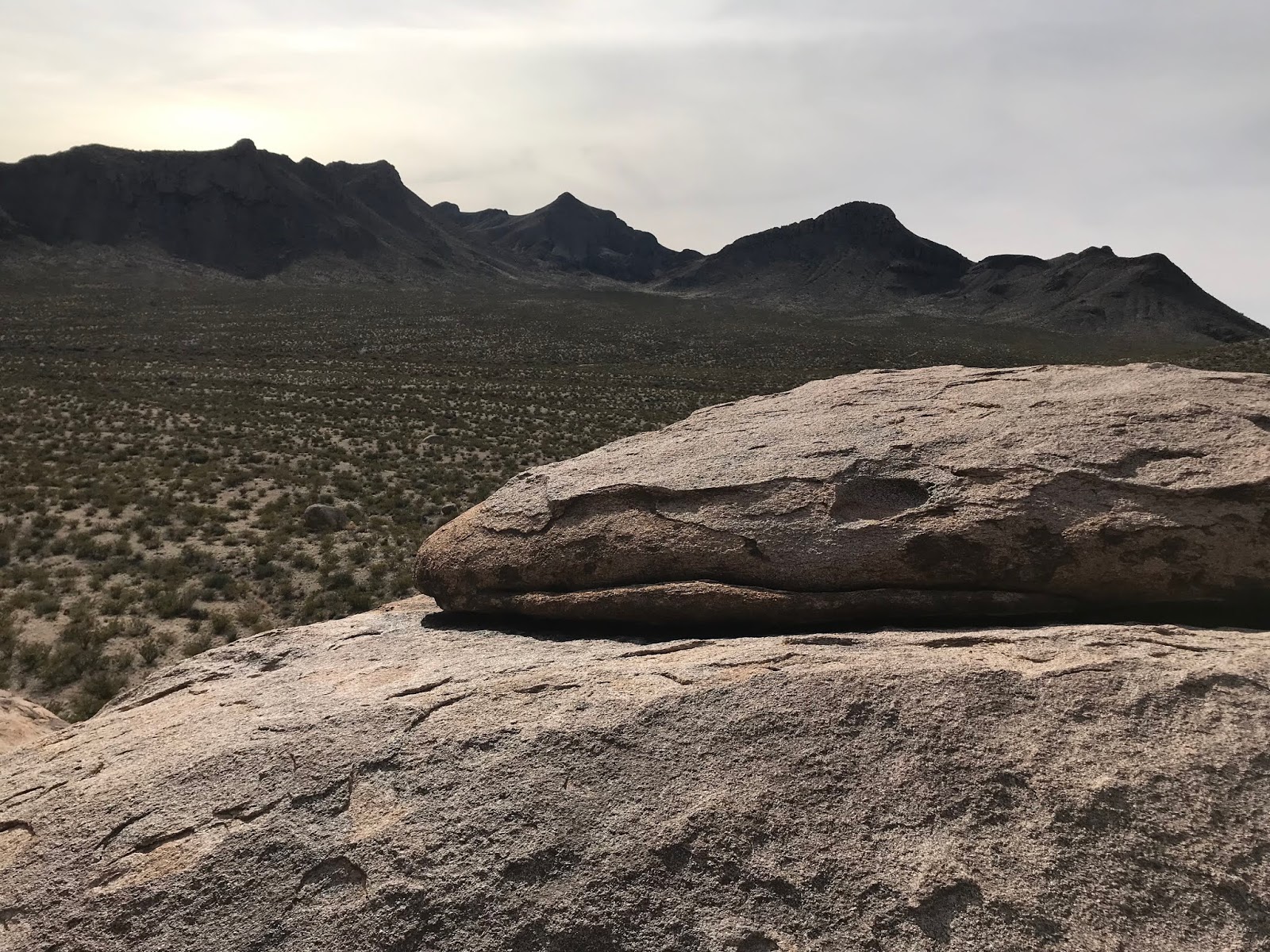 Southern New Mexico Explorer: Doña Ana Mountains, Selden Hills