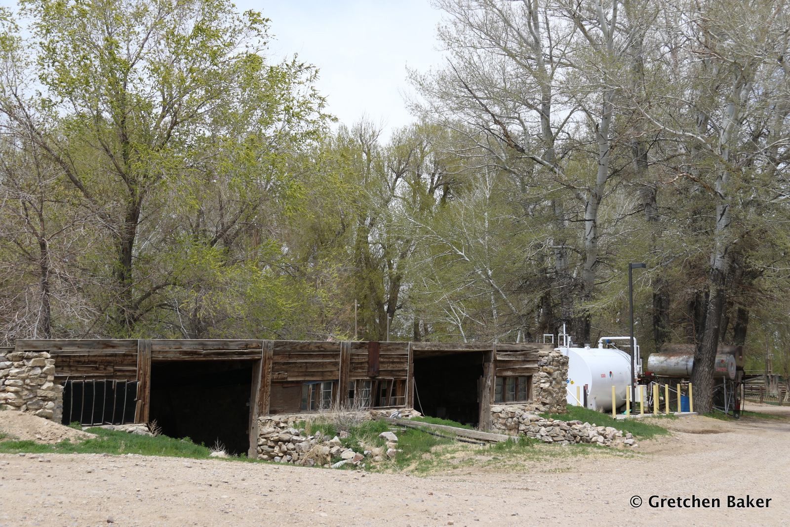 Desert Survivor: Visiting Pattern's Spring Valley Wind Farm