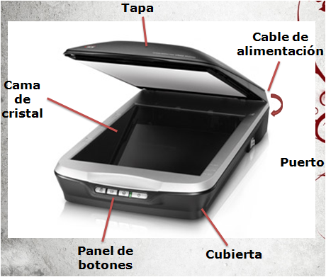 Escáner: Sus partes y funcionamiento : Escáner: Sus partes y funcionamiento