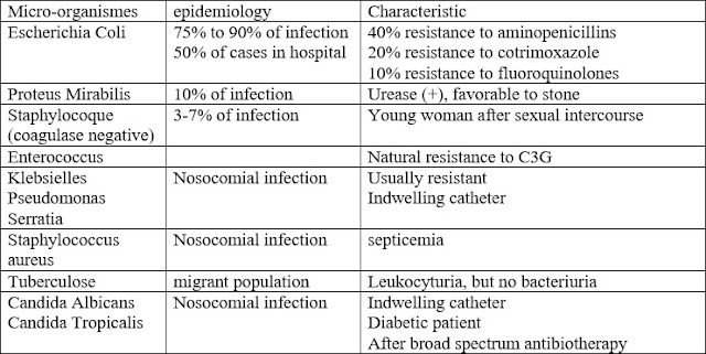 Hospital Student: URINARY TRACT INFECTION (UTI)