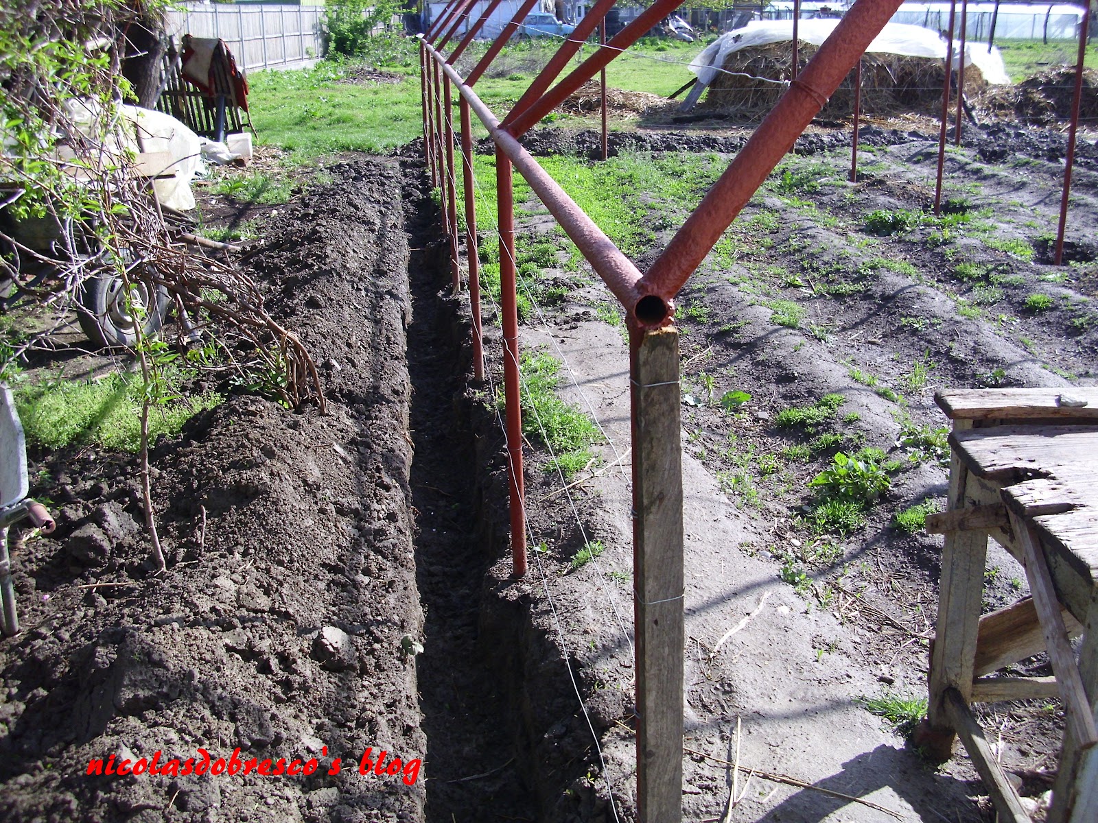 __ Nicolas _le_ jardinier __: Constructia unui solar/sera de legume ...