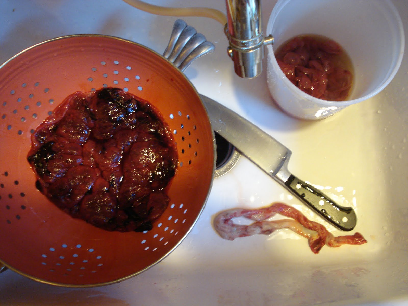 The Placenta Kitchen: Eating Your Placenta