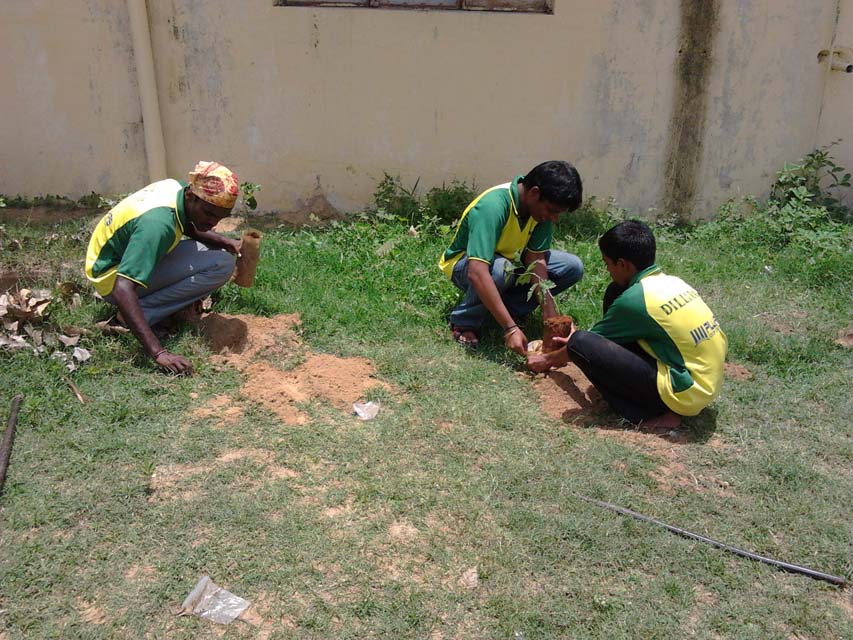 Pillars of India: The Green 500 Tree Plantation Project at Arani by ...