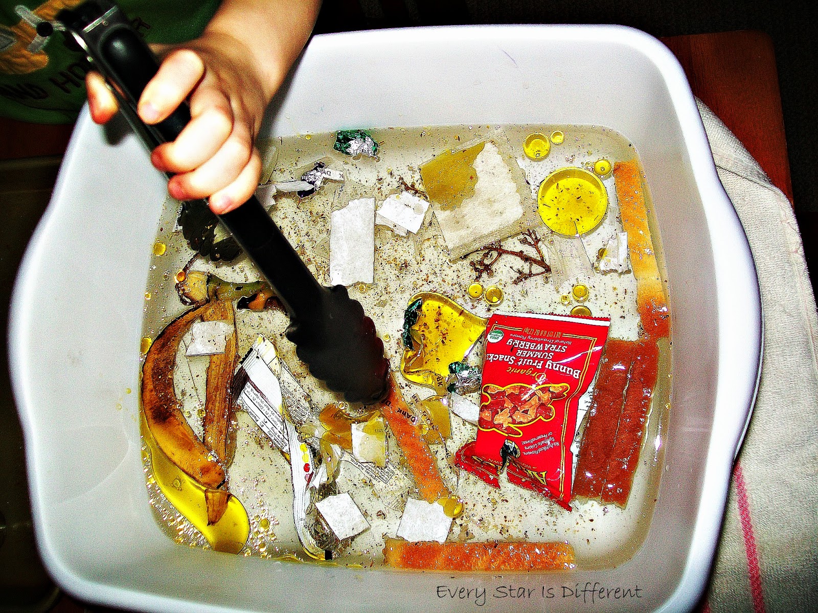 Earth Day Unit: Pollution - Every Star Is Different