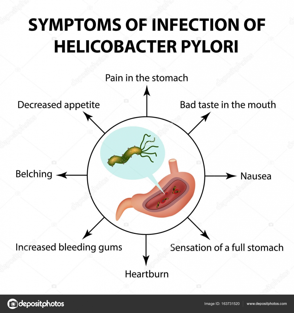 Helicobacter pylori - Microbiology Laboratory Turkey