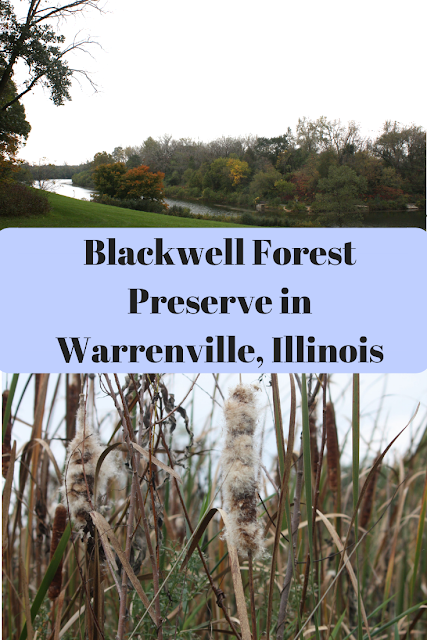 A Little Time and a Keyboard: Blackwell Forest Preserve in Warrenville ...