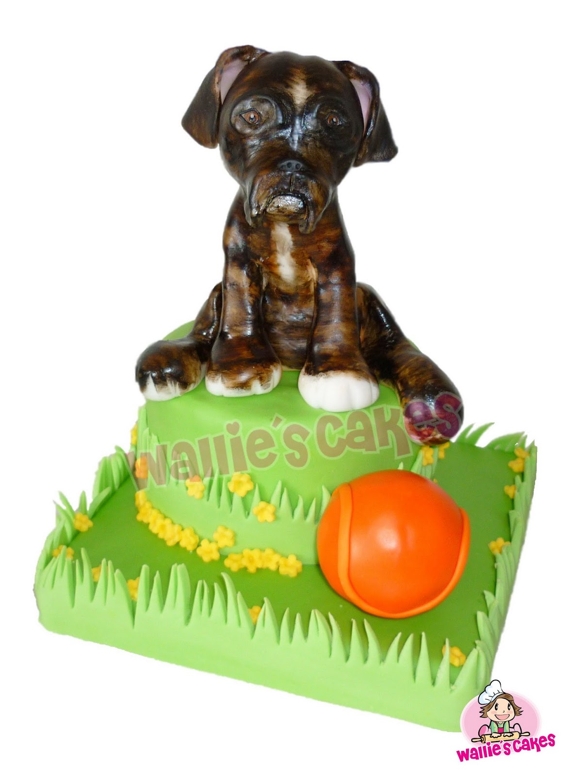 Boxer cake da Vaniglia Zenzero e Cannella su Akkiapparicette