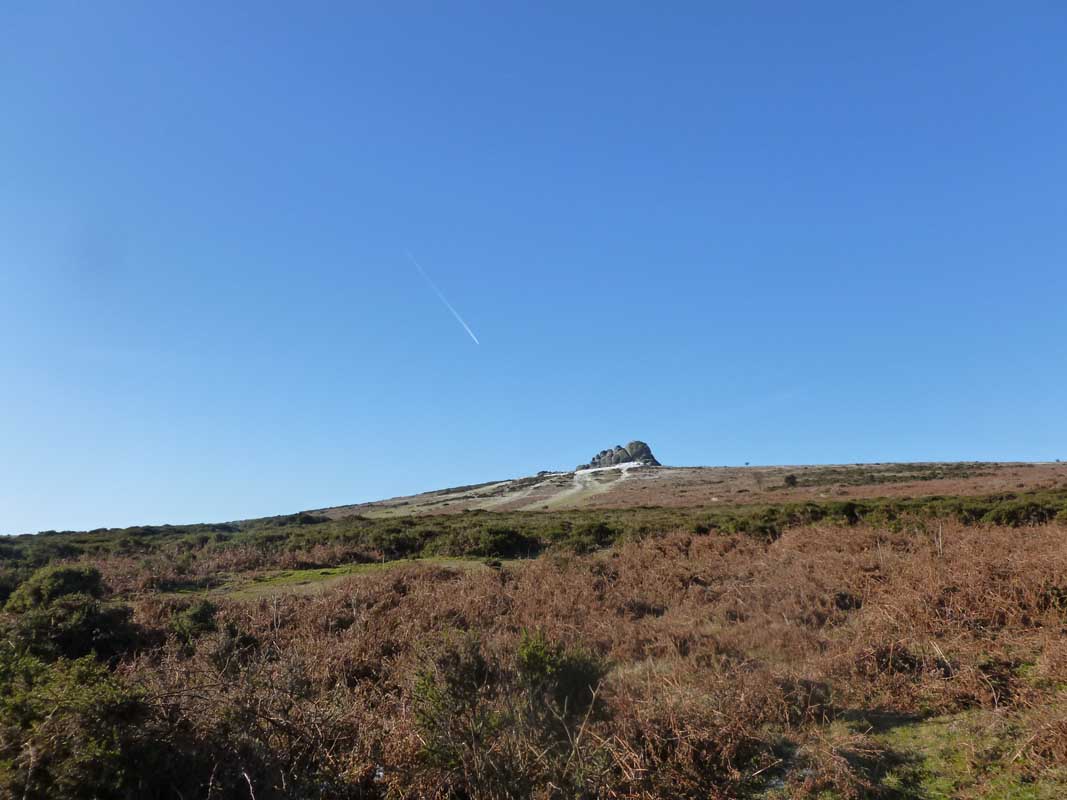Soggibottom: Girl Rona in Teignmouth and Dartmoor -3 deg c.