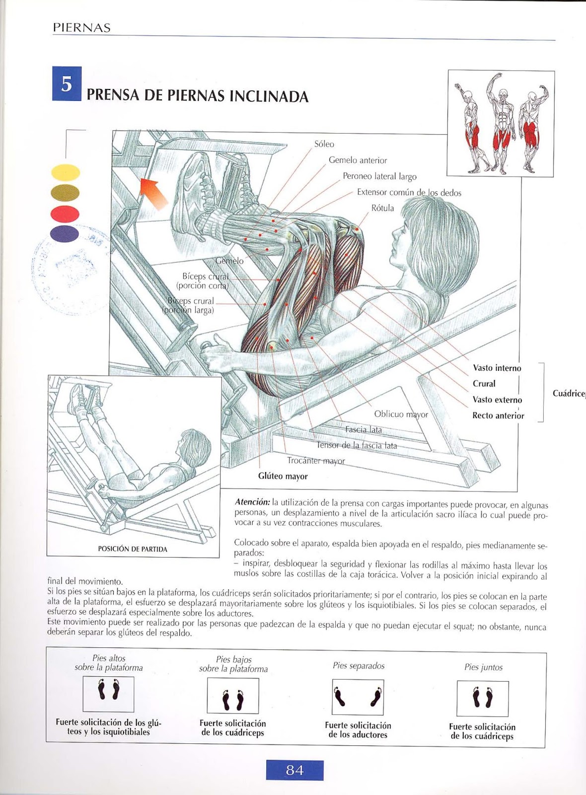 Ejercítate 365: PRENSA DE PIERNAS INCLINADA. HOMBRE