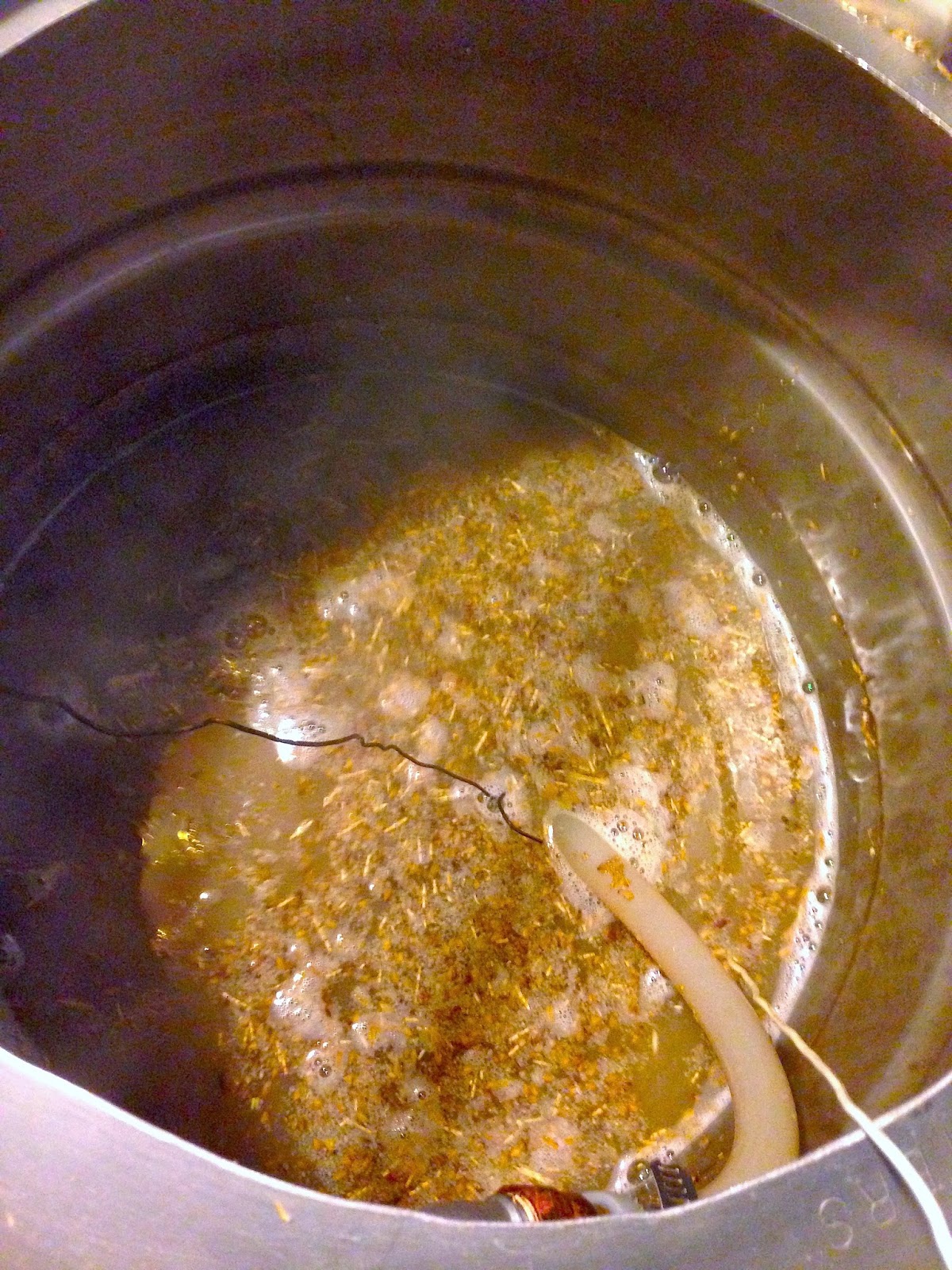 FED BY FERMENTATION: Turbid Mash Lambic 2014