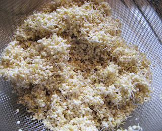 1 - Rinse quinoa well and cover with water in a wide-mouth glass jar ...