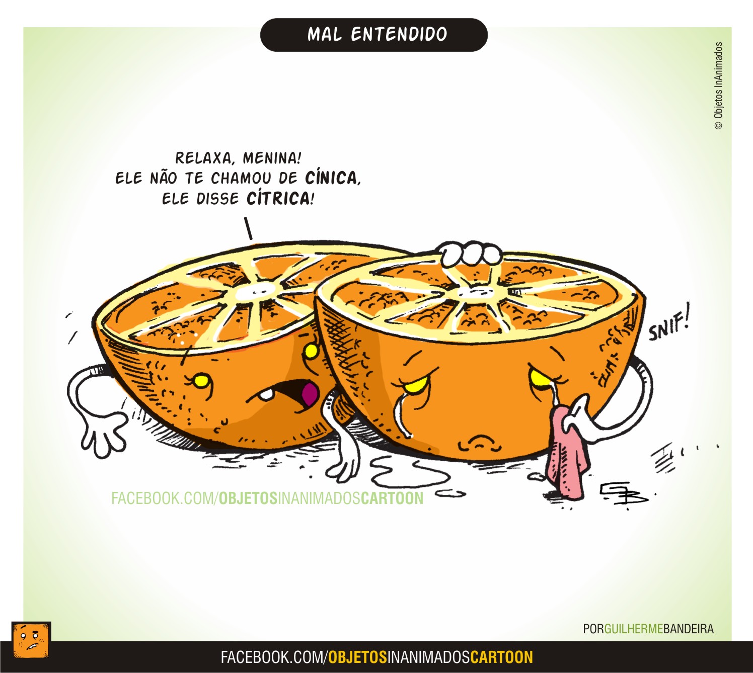 Objetos InAnimados: Mal entendido...