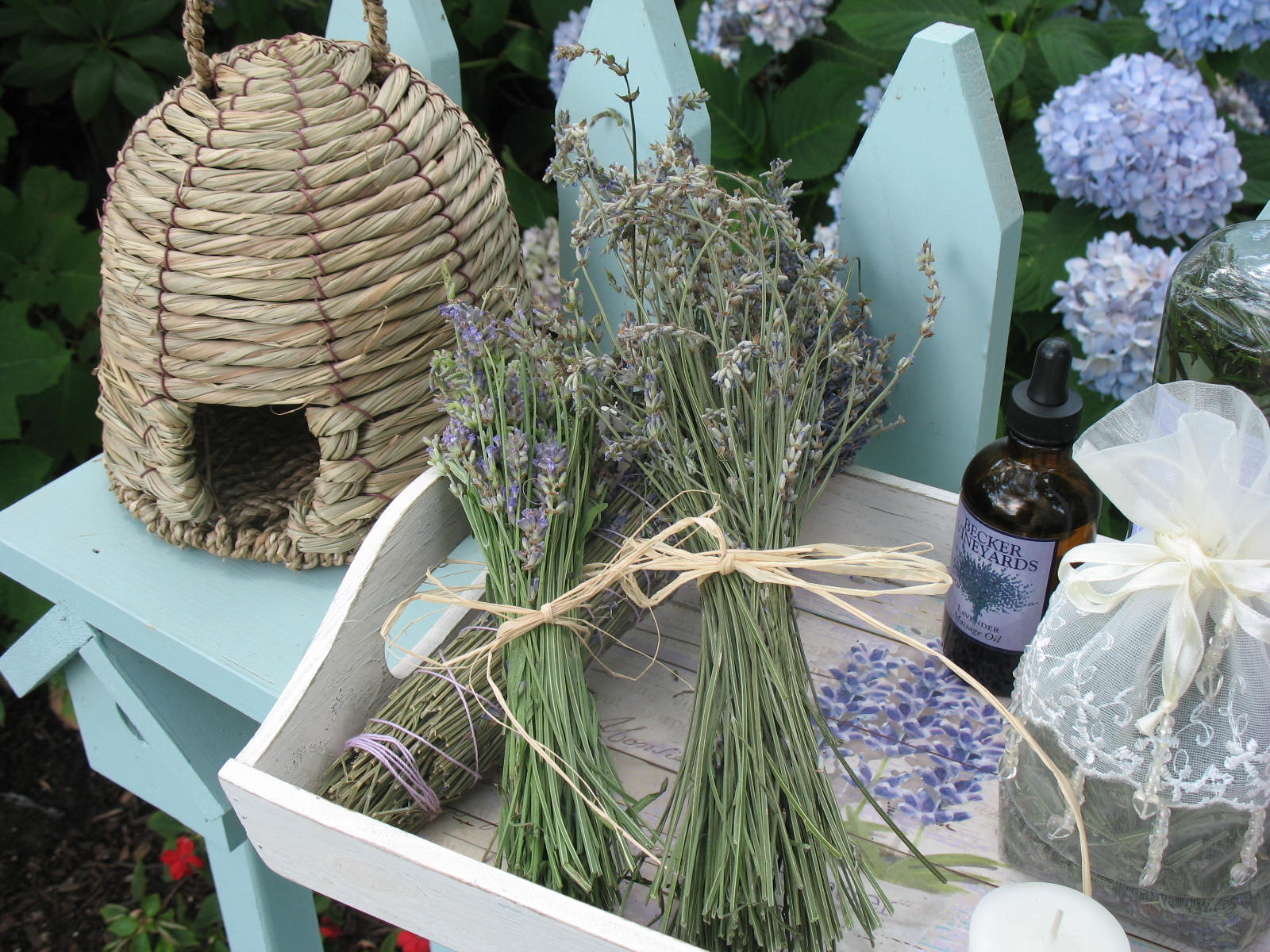 Miss Bloomers : Lavender Farm & Vignette