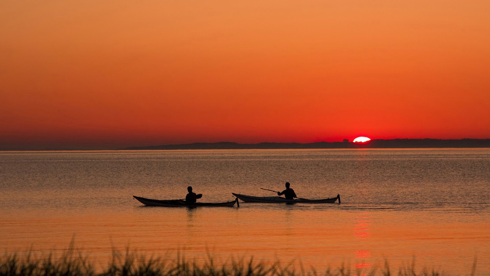 Wallpapers botes