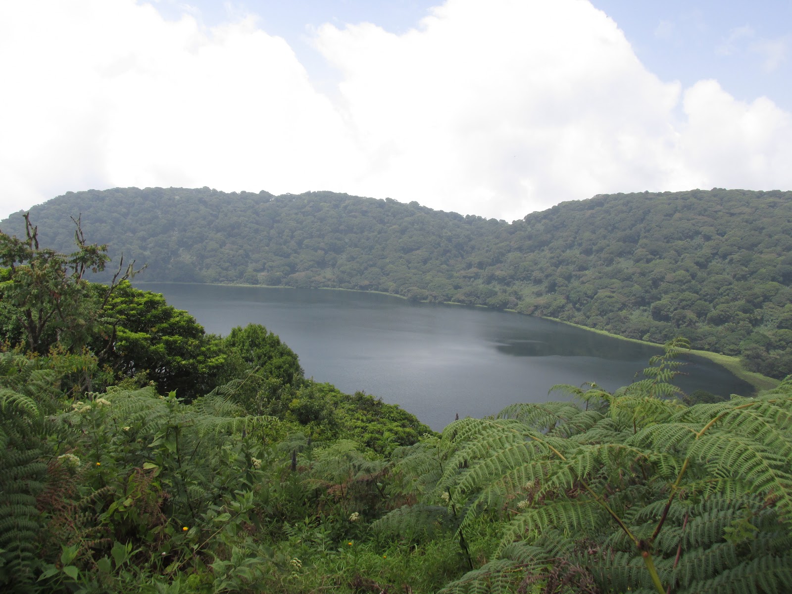 Bioko Island Adventures: Days 40-54 - FRTE course in Moka!