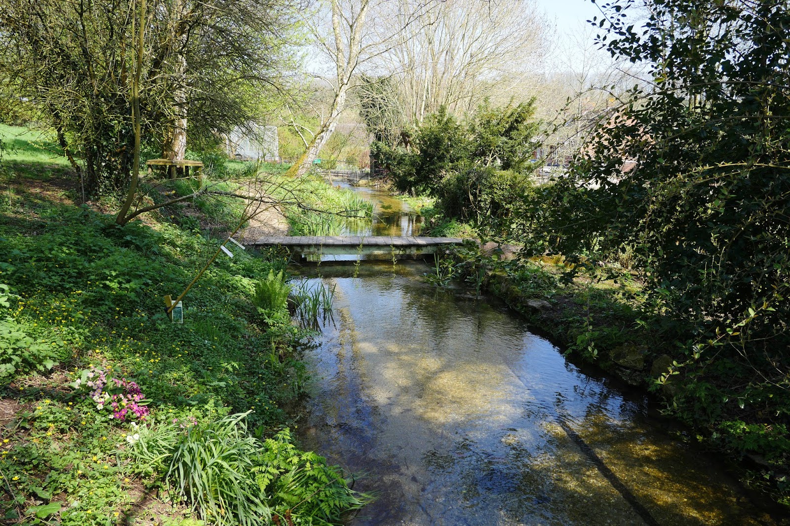 Walking in the country: Winterborne Stickland
