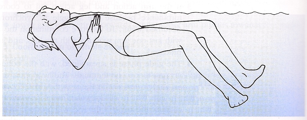 Swimming Teaching: Survival Backstroke Technique Full Description And ...