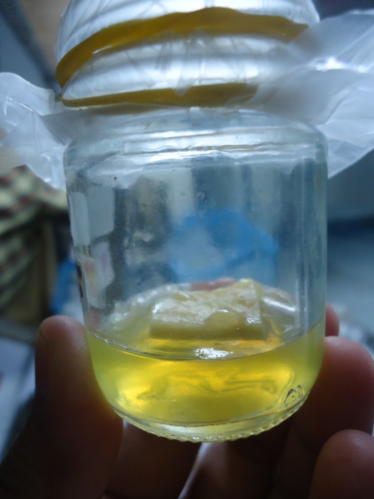 Kultur Jaringan: KULTUR UMBI WORTEL (INDUKSI KALUS)