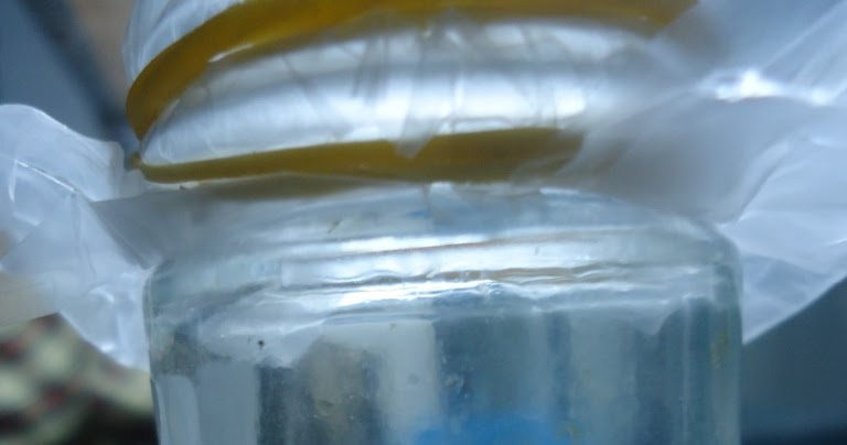 Kultur Jaringan: KULTUR UMBI WORTEL (INDUKSI KALUS)