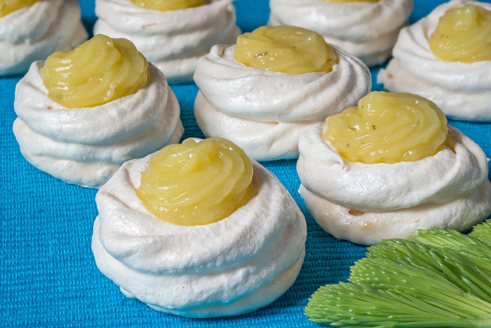 The 3 Foragers: Foraging for Wild, Natural, Organic Food: Spruce Tips ...