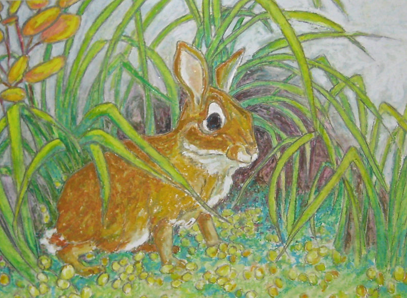 Oil Pastels and Burnt Lines -Ridge Rabbits and Gazebo Bunny Series