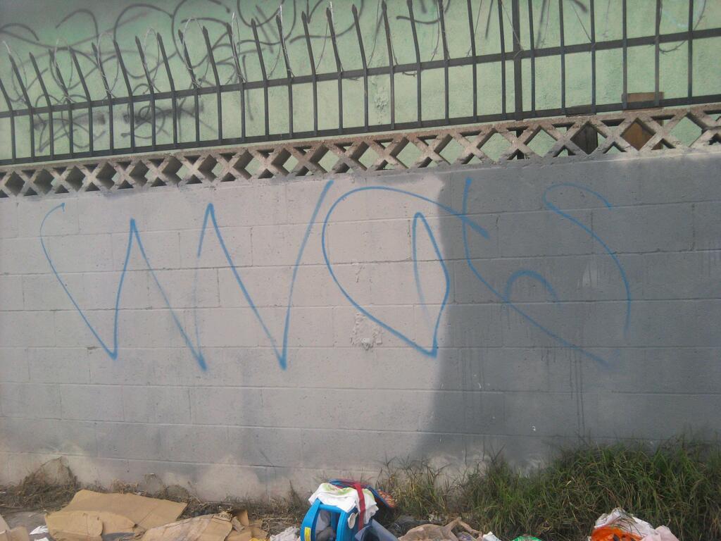 sureno 13 gangs graffiti: Watts varrio grape street 13