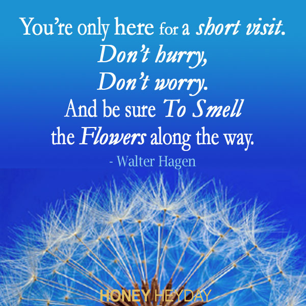 Honey Heyday Better Best: Daily Quotes About Life 101 Honey Heyday