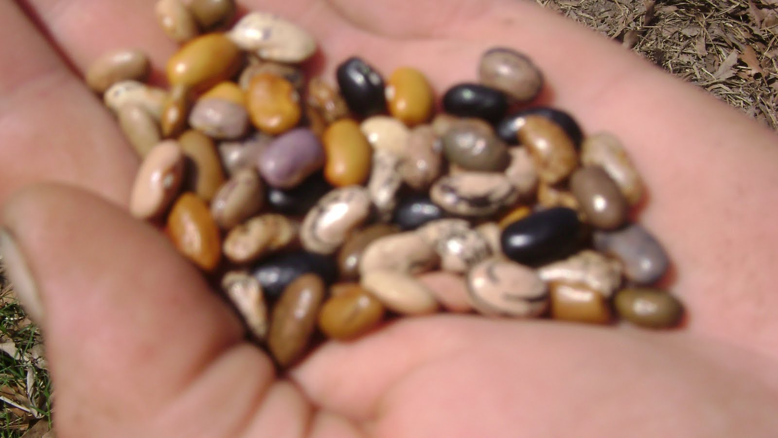 TSG: The Legend of the Three Sisters