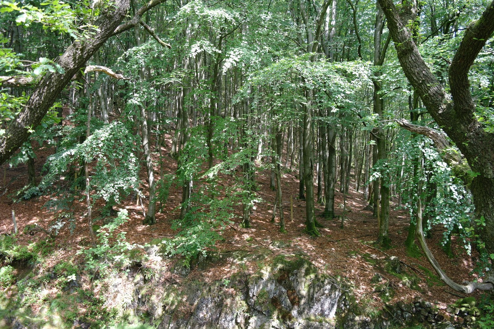 A Blog on the Landscape!: Thunder in the night