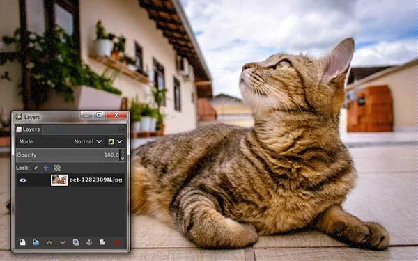 PhotoEffect: Sharpen Image Edges in GIMP (High Pass Filter)