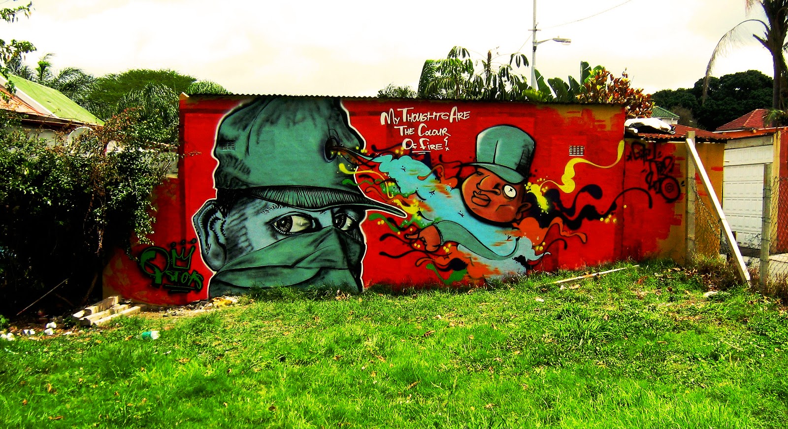 CANVAS CITY: MOOK LION ~ @PeterJohn