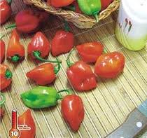 Pimenta com Arte: Pimenta: alívio ardido para as dores e outros ...