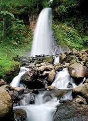 Awanilalang: Curug Cibeureum - Taman Nasional Gunung Gede Pangrango