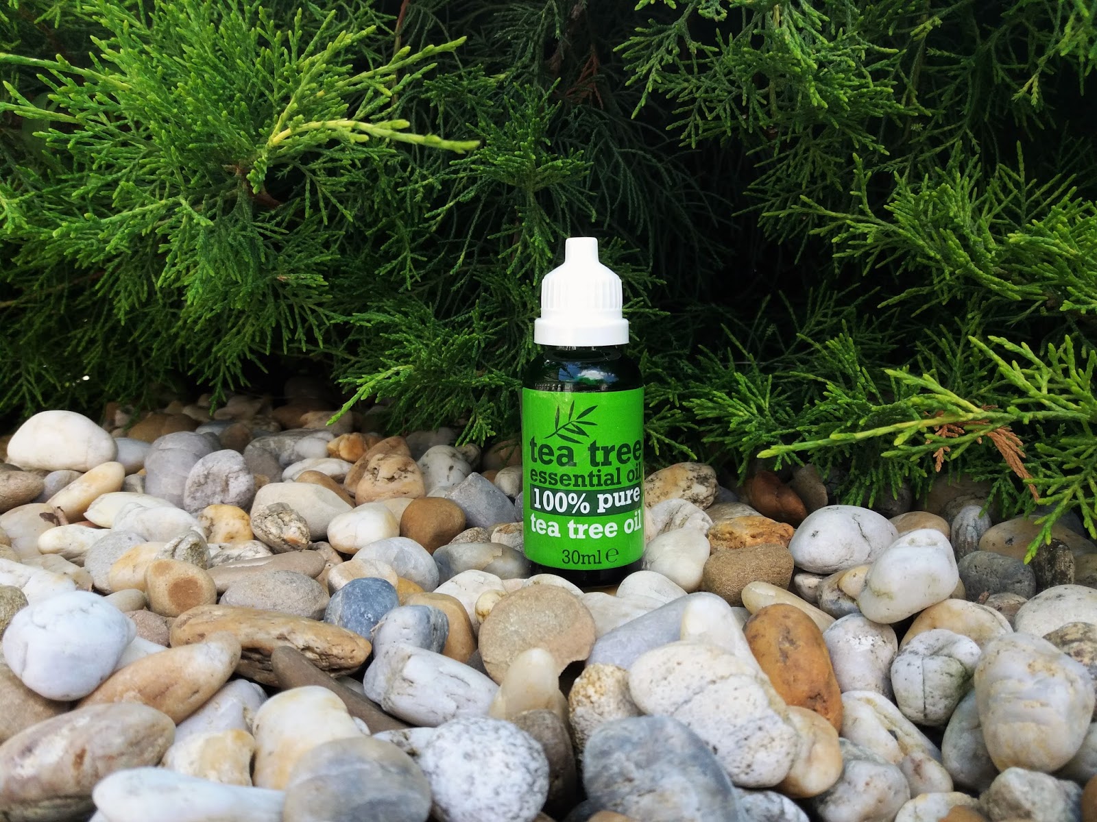 Life is beautiful : Xpel | 100 % pure tea tree oli