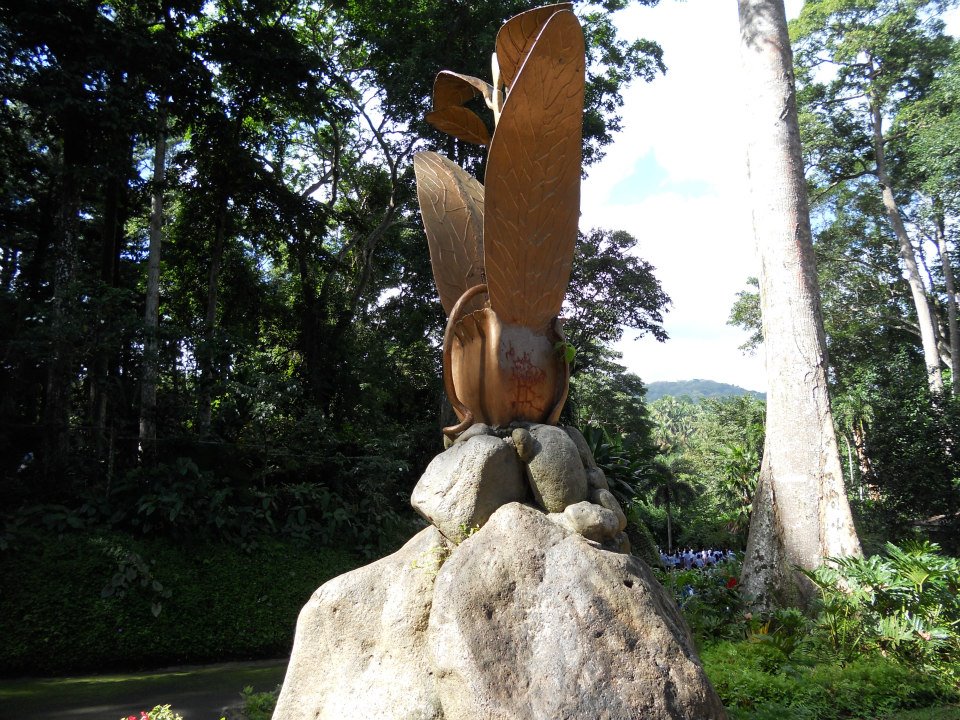 Travel Blog: Mt. Maria Makiling