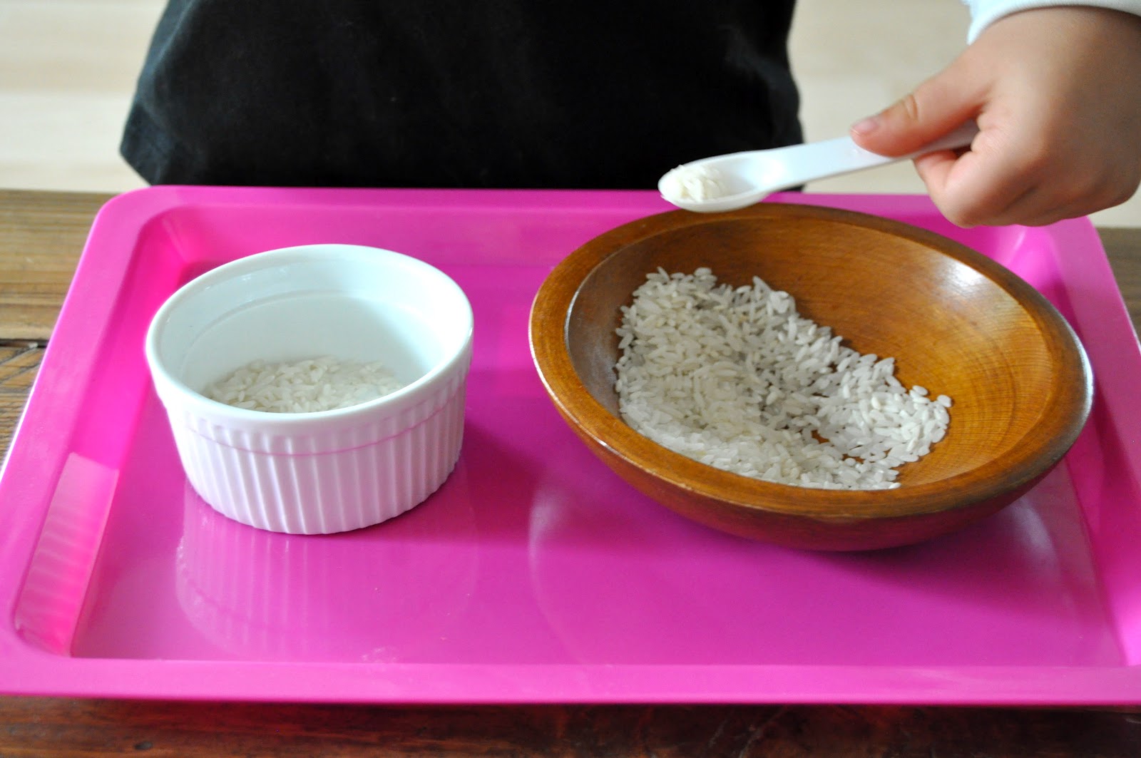 Sorting Sprinkles: Pets Week for Preschoolers - Part 3