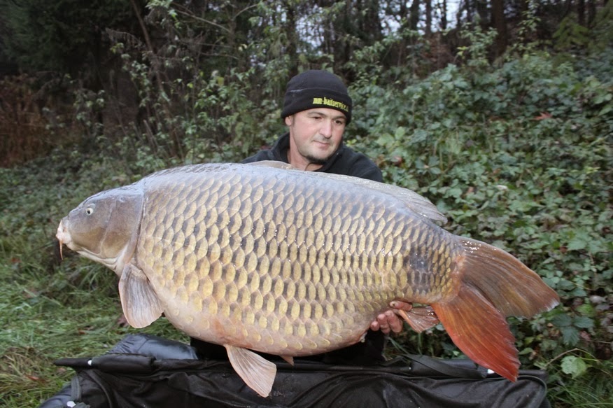 Record karper naar 39 kilo op FZZ See in Oostenrijk