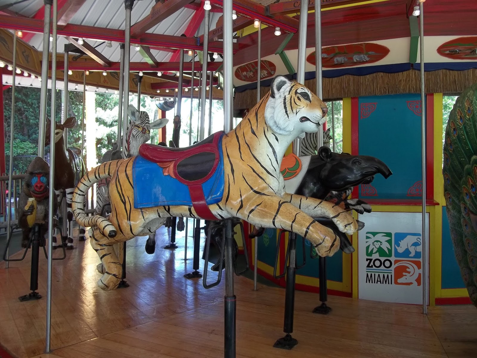 Bonao Internacional: CARRUSEL , EN EL PARQUE ZOOLOGICO DE MIAMI , FLORIDA
