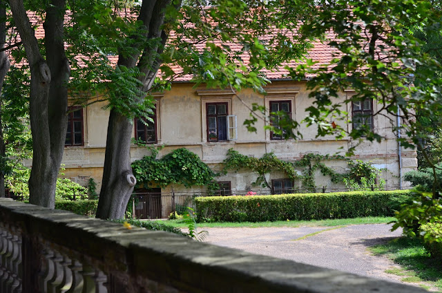 syroovka: ...v parku