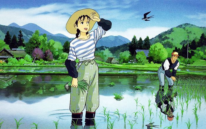 Only Yesterday (1991) ~ Watch Anime Movies Online