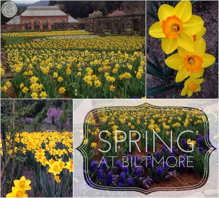 I.D. by A.B.: Spring at Biltmore