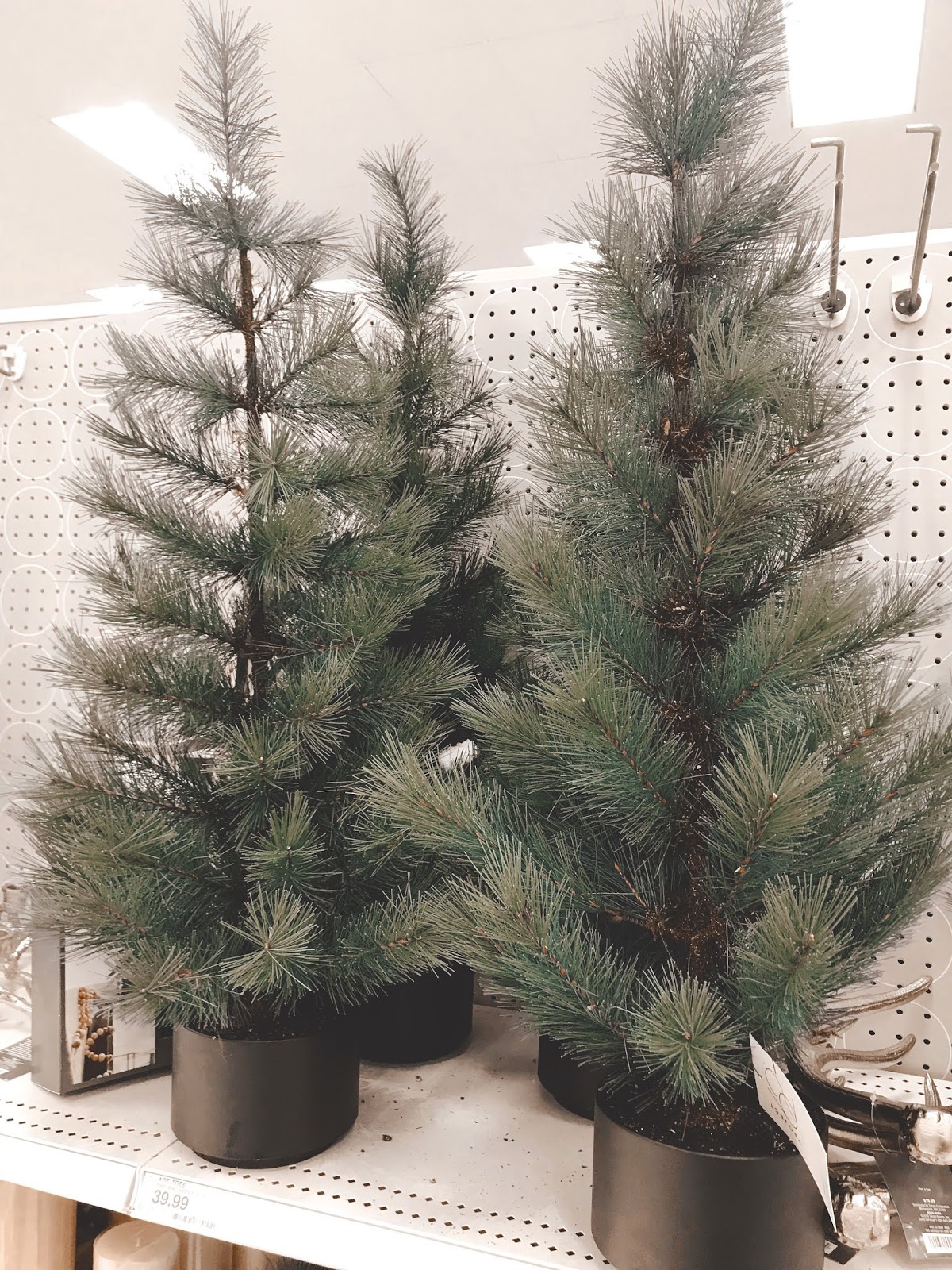 Target Tuesdays With Riley Part 11